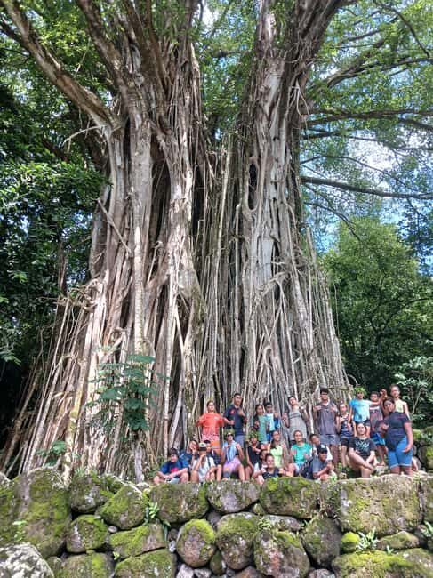 Moorea : Safari Nature and Culture Tour with local guide - The Sum Up: Why This Tour Matters