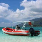 Moorea: Whale watching adventure - Who Will Love This Tour?