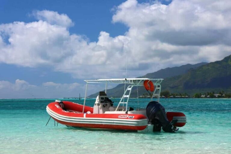 Moorea: Whale watching adventure - Who Will Love This Tour?