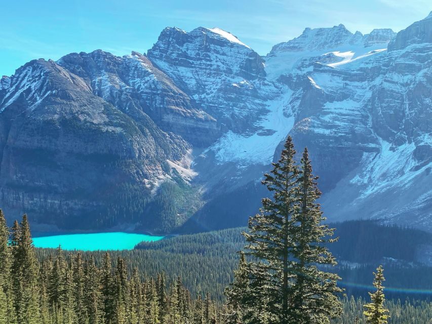 Moraine Lake & Larch Valley Hike - Why This Tour Stands Out