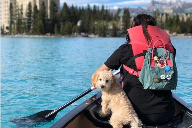 Moraine Lake Sightseeing from Lake Louise Village Samson Mall - Why Choose This Tour?