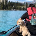 Moraine Lake Sightseeing from Samson Mall Shared Tour | On Sale! - Who Is This Tour Best For?