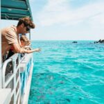 Moreton Island: Marine Discovery Cruise & Dolphin Feeding - Evaluating the Value and Practicalities