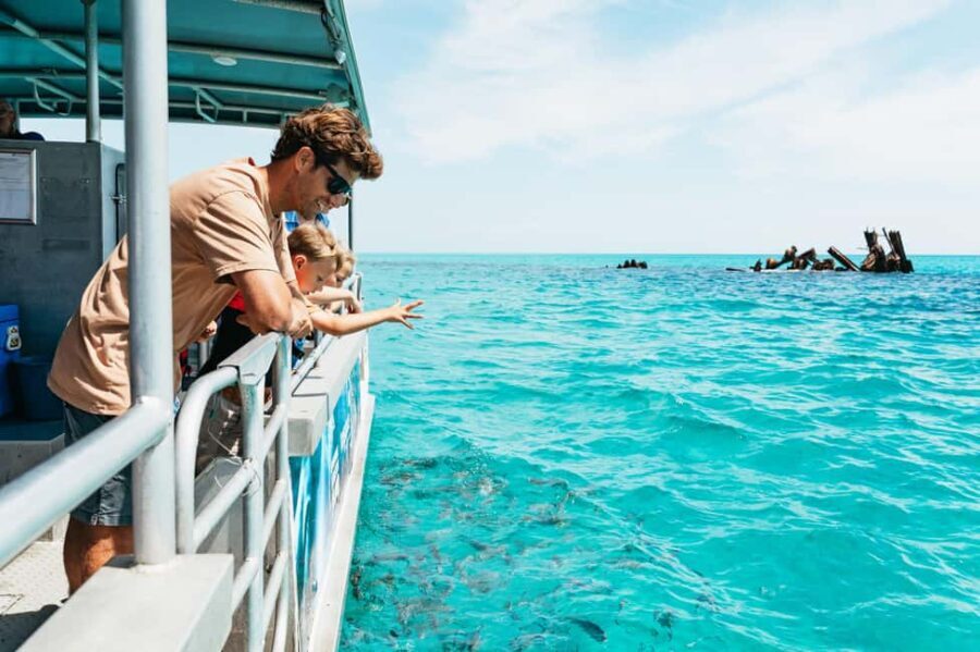 Moreton Island: Marine Discovery Cruise & Dolphin Feeding - Evaluating the Value and Practicalities