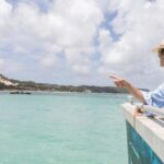 Moreton Island: Marine Discovery Cruise & Dolphin Viewing - An In-Depth Look at the Experience