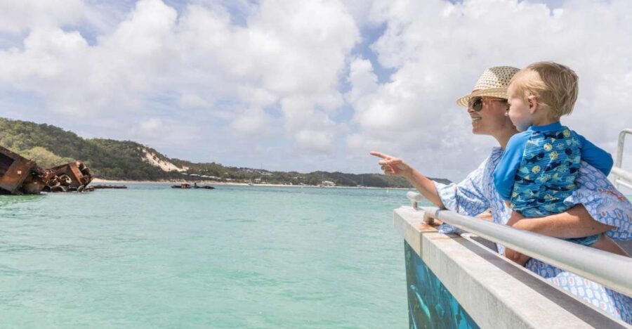 Moreton Island: Marine Discovery Cruise & Dolphin Viewing - An In-Depth Look at the Experience