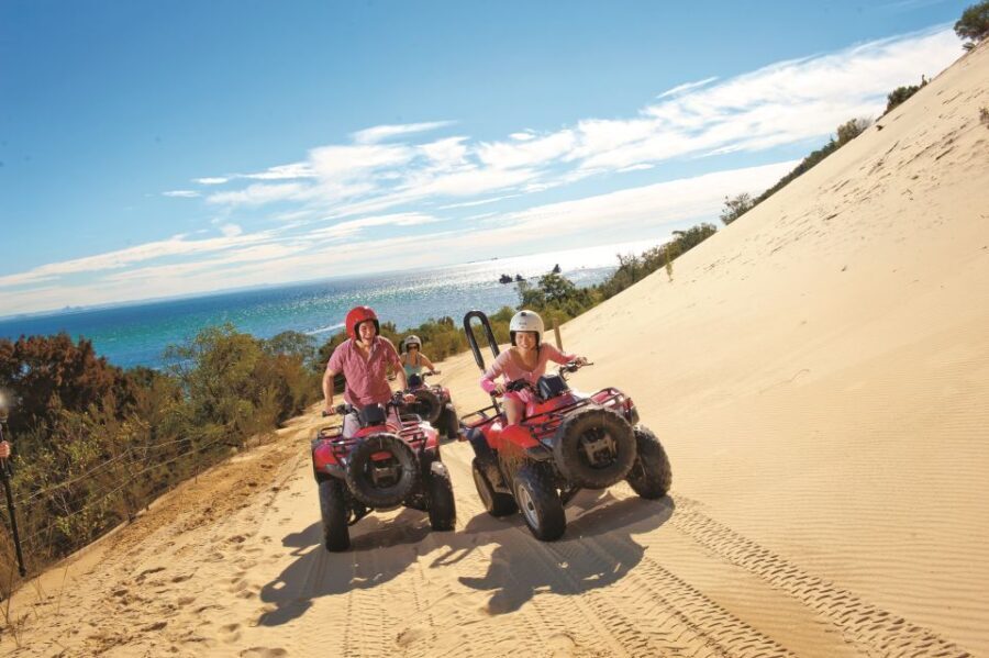 Moreton Island: Tangalooma ATV Quad Bike and Dolphin Viewing - Who Will Love This Tour?
