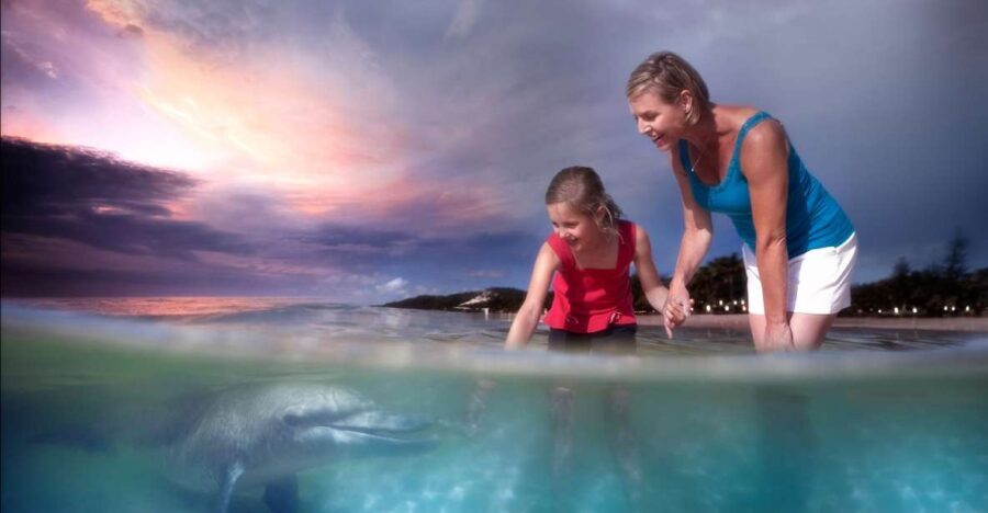 Moreton Island: Tangalooma ATV Quad Bike & Dolphin Feeding - Analyzing the Value