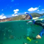 Moreton Island: Tangalooma Day Trip with Snorkeling Tour - The Itinerary Breakdown: What Makes Each Part Special