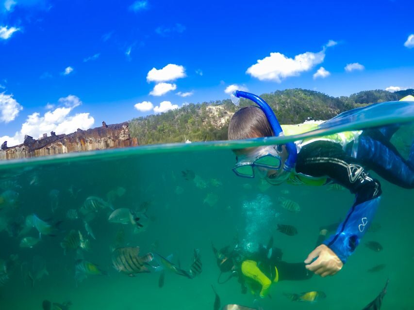 Moreton Island: Tangalooma Day Trip with Snorkeling Tour - The Itinerary Breakdown: What Makes Each Part Special
