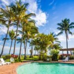 Moreton Island: Tangalooma Whale Watching & Dolphin Viewing - Exploring Moreton Island: Free Time and Facilities