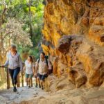 Morialta Wilderness and Wildlife Hike - What Makes This Tour Stand Out?
