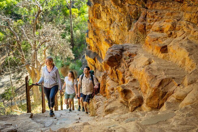 Morialta Wilderness and Wildlife Hike - What Makes This Tour Stand Out?