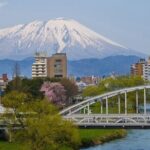 Morioka Half-Day Private Tour with Government-Licensed Guide - Who Is This Tour Best For?