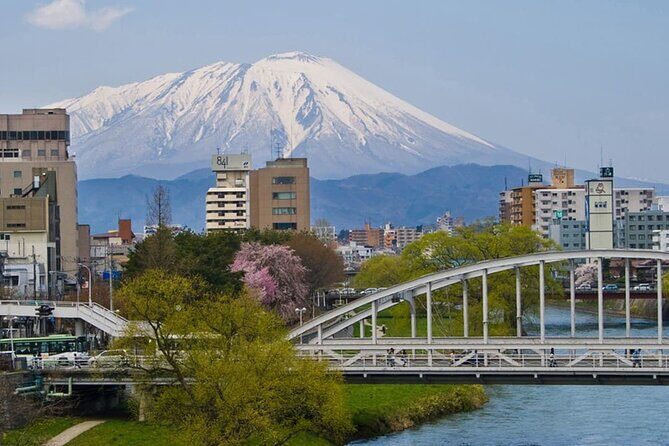 Morioka Half-Day Private Tour with Government-Licensed Guide - Who Is This Tour Best For?