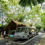 Morning at the Zoo with 1-way Transfer (Free & Easy) - Who Is This Tour Best Suited For?