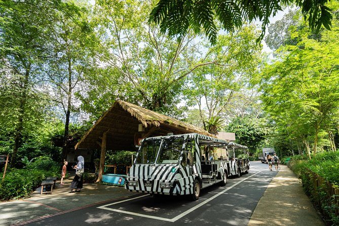 Morning at the Zoo with 1-way Transfer (Free & Easy) - Who Is This Tour Best Suited For?