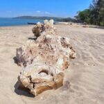 Morning Beach Hopping on Bike with Breakfast - FAQs