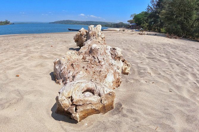 Morning Beach Hopping on Bike with Breakfast - FAQs