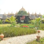 Morning Cooking Class in Organic Farm with Local Market Tour - Value for Money