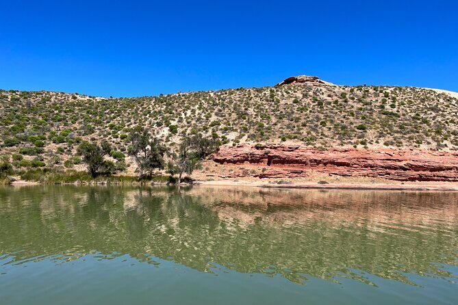 Morning Cruise on the Murchison River in Kalbarri (April to Nov) - Practical Details You Need to Know