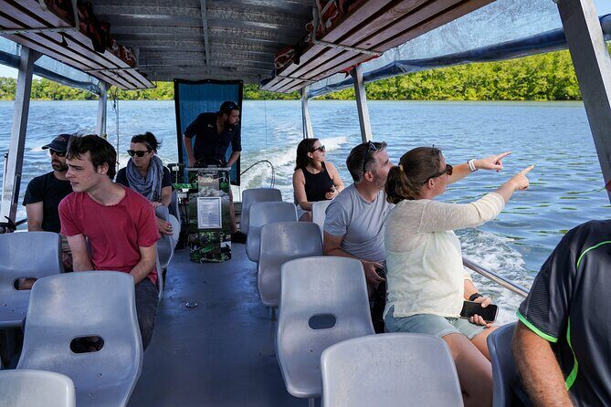 Morning Daintree Tour with River Cruise from Port Douglas - What the Experience Means for Your Trip