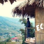 Morning Eco Sapa Bus limousine D-car 8-seat depart from Hanoi Old Quarter - The Value of the Cost
