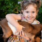 Morning Farm Experience near Gympie & Noosa - Highland Hideaway Farm Tour: What You Can Expect