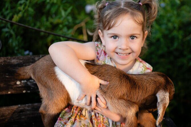 Morning Farm Experience near Gympie & Noosa - Highland Hideaway Farm Tour: What You Can Expect