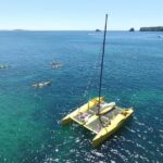 Morning Glory Chilled out Sail (3.5hrs) - Who Will Love This Experience?