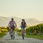 Morning Guided with Afternoon Self-Guided Biking Wine Tour - Authentic Traveler Insights