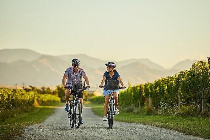Morning Guided with Afternoon Self-Guided Biking Wine Tour - Authentic Traveler Insights