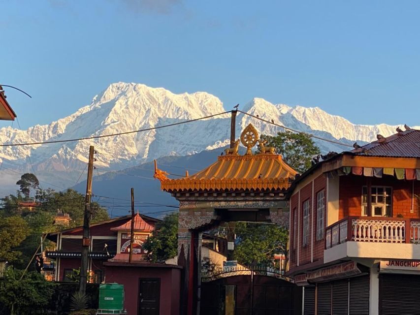 Morning half day Tibetan cultural tour - Full Breakdown of the Itinerary