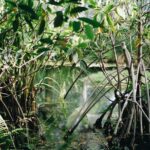 Morning Hike and Sunrise in Krabi with your English-speaking guide - The Sum Up