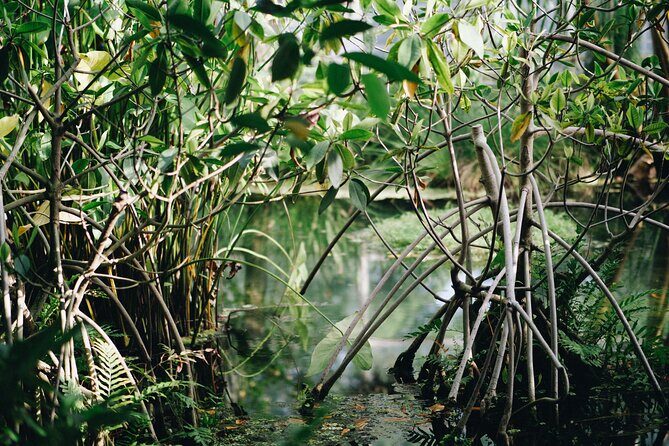 Morning Hike and Sunrise in Krabi with your English-speaking guide - The Sum Up