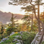 Morning Hike to Kunjapuri Temple for a Magical Sunrise - Who Will Love This Tour?