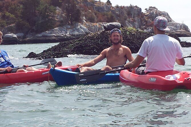 Morning Kayak & Seal Cruise - Insights from Travelers