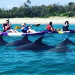 Morning Kayaking and Snorkeling Tour - Key Points