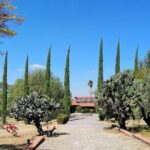 Morning Tour and Olive product tasting - The Sum Up: Valuing the Authentic Olive Oil Experience