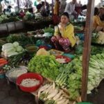 Morning Walking Tour at Local Livelihood in Battambang - Exploring Boeung Chhouk Market