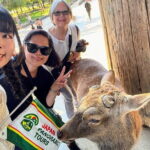 Morning Wonder World Heritage Nara Guided Tour - Ending the Tour and Practical Tips