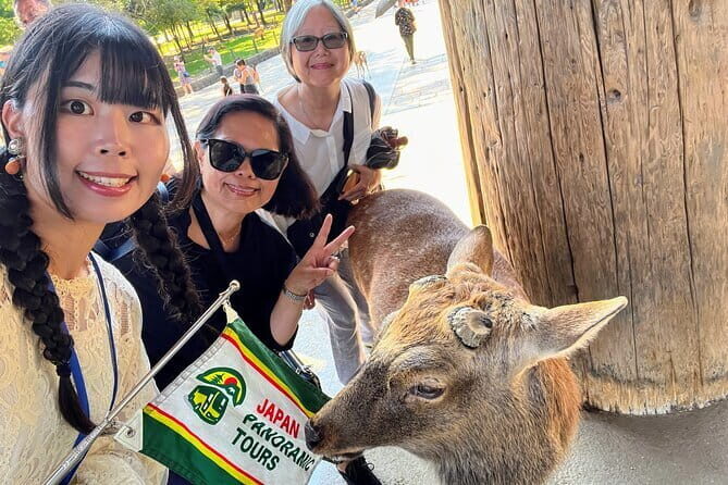 Morning Wonder World Heritage Nara Guided Tour - Ending the Tour and Practical Tips