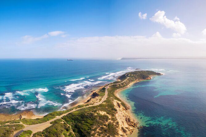 Mornington Peninsula Coastal Discovery Tour from Melbourne - Dive into History: Point Nepean National Park