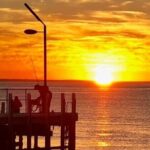 Mornington Peninsula Day Tour. Your Day Your Way. Your group only - Transport, Group, and Comfort