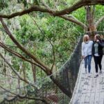 Mornington Peninsula: Enchanted Adventure General Admission - Authentic Feedback from Visitors