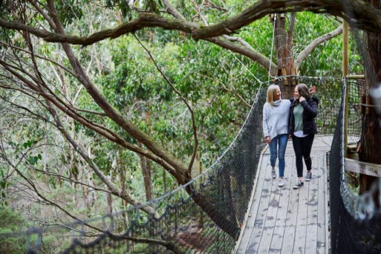 Mornington Peninsula: Enchanted Adventure General Admission - Authentic Feedback from Visitors