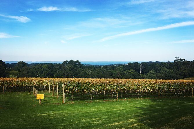 Mornington Peninsula Private Car Winery Tour.1-7 People One Car Price. - The Itinerary in Detail: What You Can Expect
