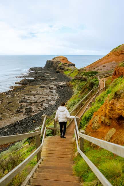 Mornington Peninsula Private Day Tour - The Value of a Private Tour