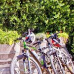 Mornington Peninsula Self-Guided Bike Tour | Food & Wine Region - The Itinerary: A Day in the Region