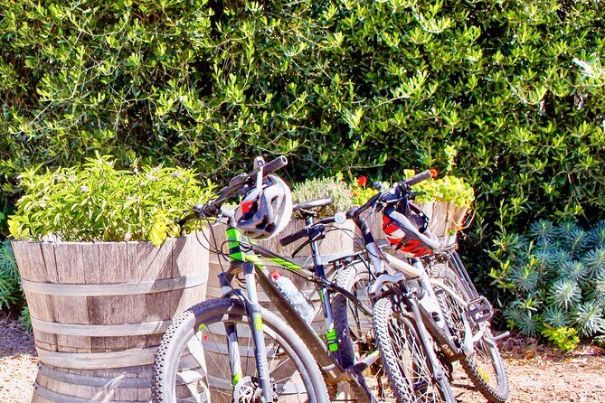 Mornington Peninsula Self-Guided Bike Tour | Food & Wine Region - The Itinerary: A Day in the Region